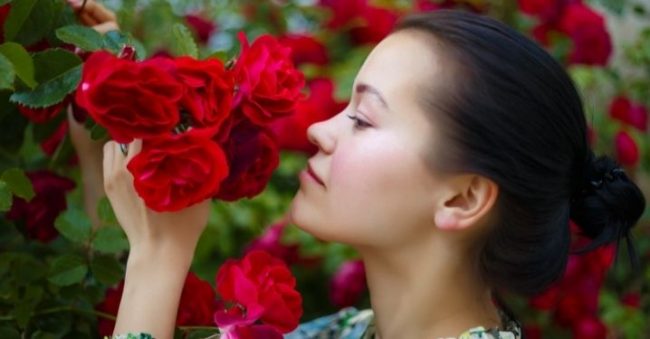 7 Manfaat Bunga Mawar untuk Kesehatan dan Kecantikan