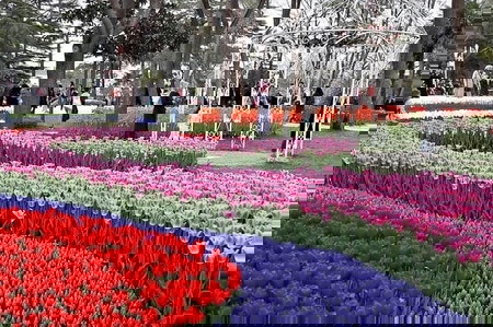 15 Tempat Wisata di Turki Terfavorit, Gudangnya Situs Bersejarah