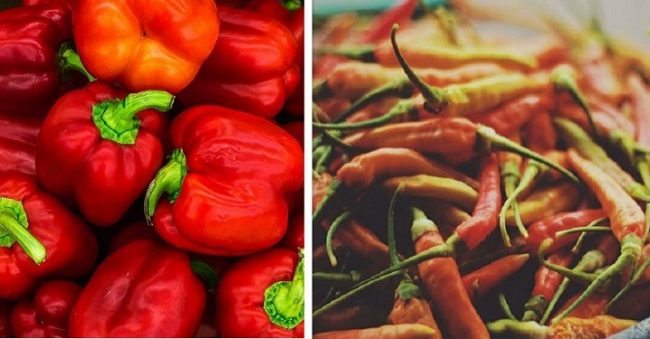 15 Jenis Cabai Asli Nusantara dan Terpedas di Dunia