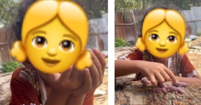 Viral Video Anak Berhitung Bayi Tikus, Padahal Jorok dan Menjijikan