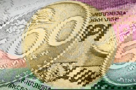 Apa Saja Gambar Flora dan Fauna di Uang Rupiah? Cek di Sini, Yuk!