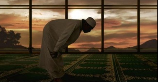 Tata Cara Sholat Awwabin dan Keutamaannya, Setara Beribadah 12 Tahun