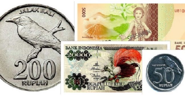 Apa Saja Gambar Flora dan Fauna di Uang Rupiah? Cek di Sini, Yuk!