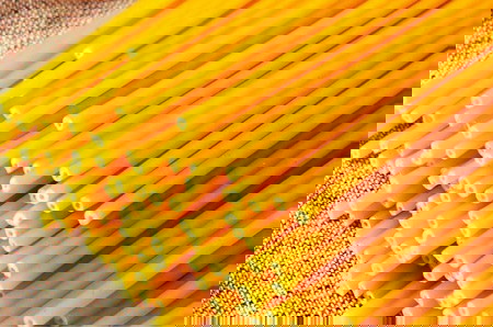 20 Jenis Pasta Populer di Dunia, Tak Kalah Lezat dari Spaghetti