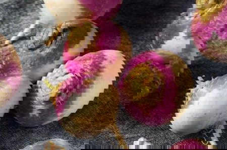 Turnip adalah Sayur Mirip Lobak, Kenali Manfaat dan Kandungan Gizinya!