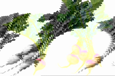 Turnip adalah Sayur Mirip Lobak, Kenali Manfaat dan Kandungan Gizinya!