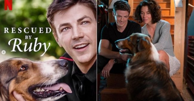 Film Rescued By Ruby, Kisah Heroik Anjing Penyelamat di Tim SAR