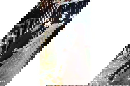 Resepsi Pernikahan Venna Melinda, Mesranya Pasangan di Usia Matang