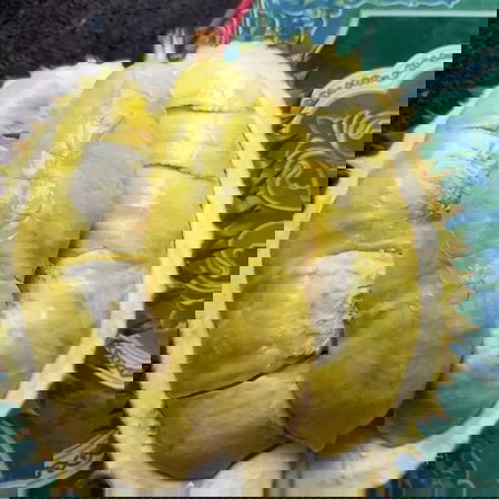 10 Jenis Durian di Indonesia yang Populer, Cita Rasa Juara!