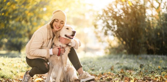 10 Jenis Anjing yang Berbahaya di Dunia, Simak Sebelum Memelihara