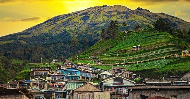 Wisata Nepal van Java, Desa di Magelang yang Mirip Lereng Himalaya