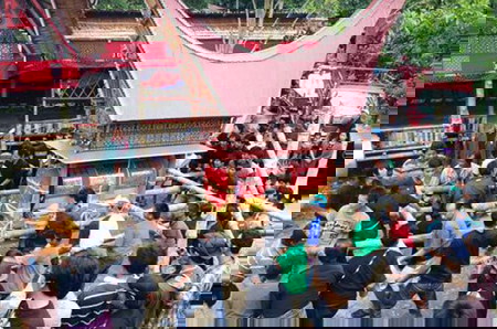 Upacara Rambu Solo, Tradisi Pemakaman Mewah dan Meriah dari Toraja