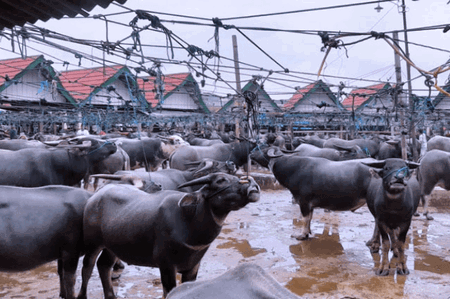 10 Pasar Tradisional Unik dan Tak Biasa, Hanya Ada di Indonesia!