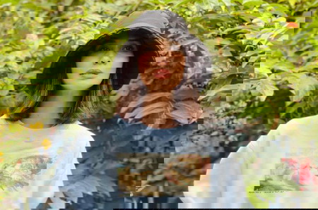 Profil Marsha Timothy, Model Video Klip yang Jadi Aktris Terkenal