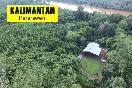5 Potret Rumah Andrew Kalaweit di Tengah Hutan, Intip Yuk!