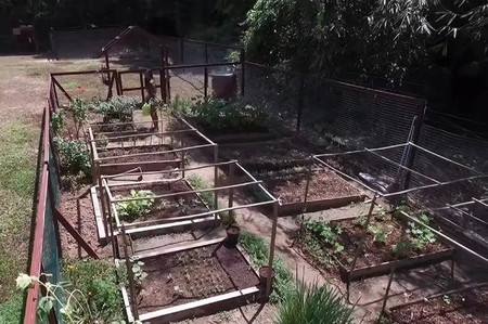 5 Potret Rumah Andrew Kalaweit di Tengah Hutan, Intip Yuk!