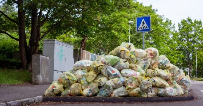 Mengenal Fenomena Food Waste dan Cara Mengatasinya!