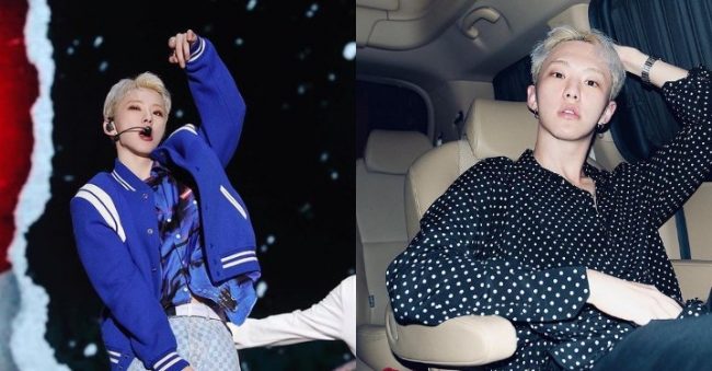 Profil dan Fakta Menarik Hoshi SEVENTEEN Si Pecinta Harimau