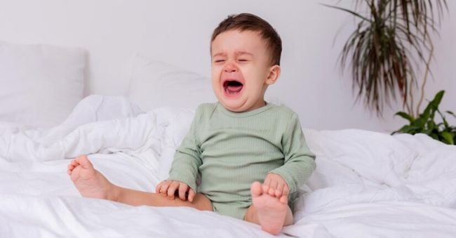 Tantrum pada Bayi: Penyebab, Cara Mengatasi, dan Mencegah