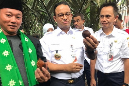 5 Fakta Salak Condet, Maskot DKI Jakarta yang Kian Langka di Pasaran
