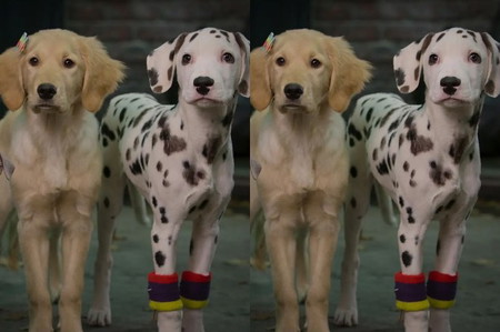 Sinopsis dan Fakta Phantom Pups Netflix, Film Halloween yang Seru!