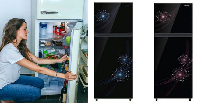 10 Kulkas Sharp 2 Terbaik di 2024, Banyak Fiturnya