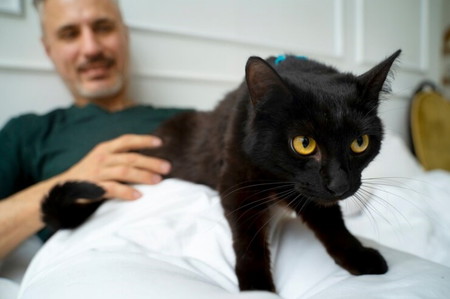 6 Mitos Kucing Hitam, Pembawa Hoki hingga Disebut Jelmaan Dewi