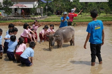 10 Rekomendasi Tempat Wisata Anak di Sentul untuk Liburan Sekeluarga