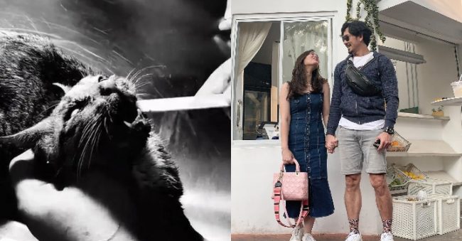 Kisah Haru Denny Sumargo Didatangi Kucing Liar Yang Ditolong Di Jalan