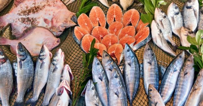 10 Ikan yang Bagus untuk Anak, Bantu Jaga Kesehatannya