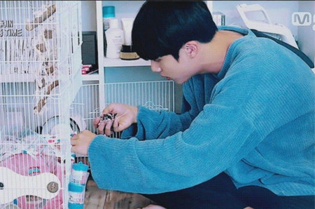 Profil dan Fakta Menarik Jin BTS yang Sudah Selesai Wamil