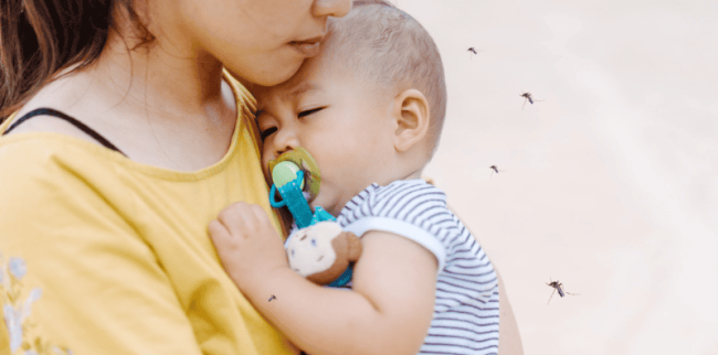 Demam Berdarah (DBD) dan Dampak Buruk bagi Keluarga