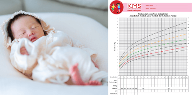 KMS Bayi Perempuan, Isi dan Begini Cara Membacanya