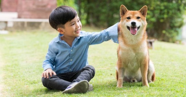 Bermakna Pemimpin Mulia, Ini Arti Nama Patrick