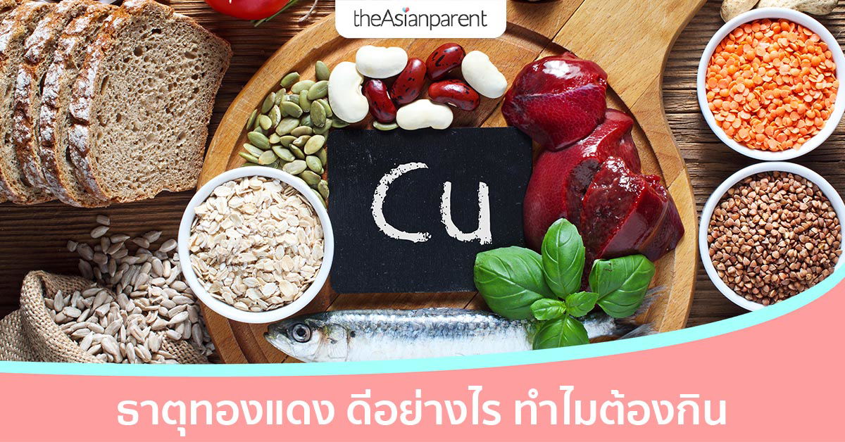 ธาตุทองแดง หรือ Copper มีสรรพคุณและประโยชน์อย่างไรบ้าง