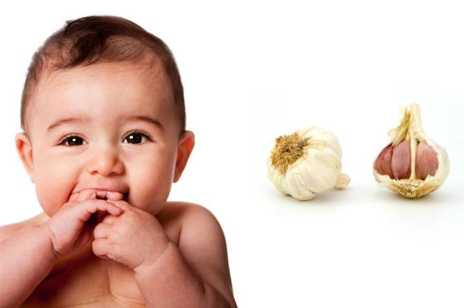 Babies & Garlic: The Benefits Of Feeding Your Baby Garlic
