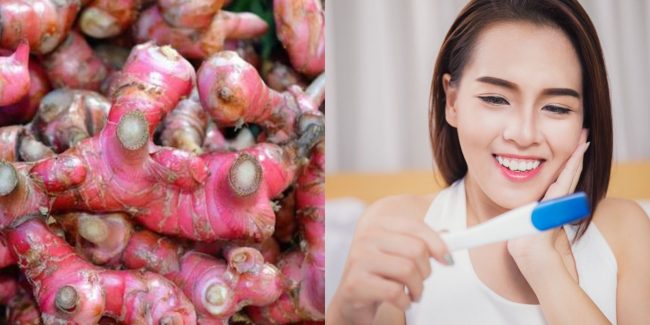 Khasiat Halia Bara Atau Halia Merah Untuk Kesihatan Wanita