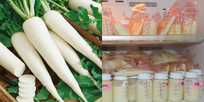 Khasiat Lobak Putih Untuk Ibu Berpantang Sangat Banyak