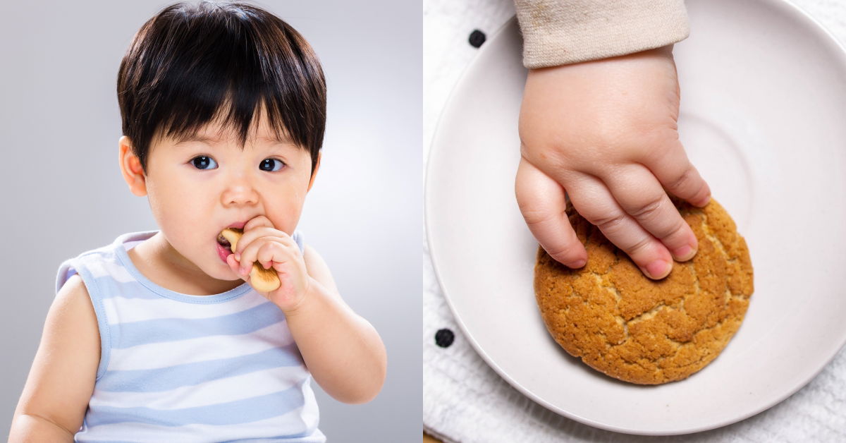 Biskut Baby Tinggi Nutrisi, Ini 8 Pilihan Yang Sedap Dan Berkhasiat