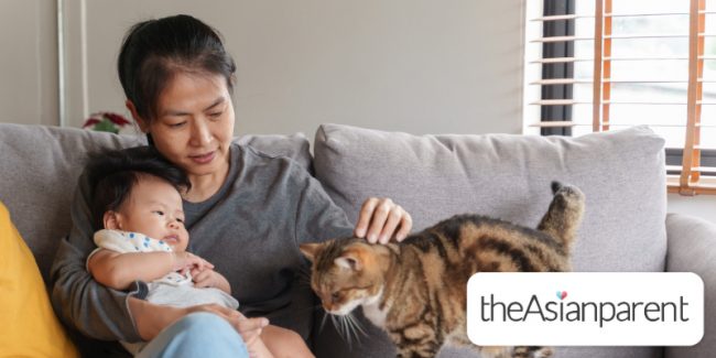 Babies and Pets: Can They Co-Exist? How to Establish Family Harmony