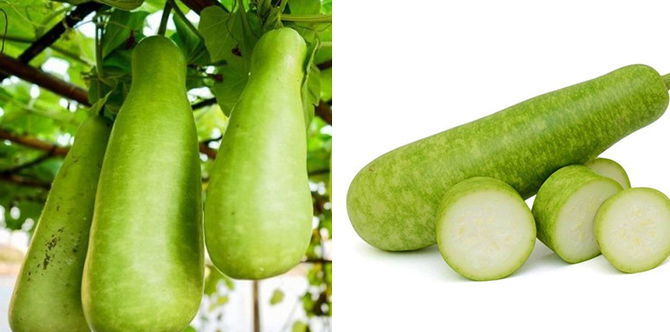 Labu Air Kaya Dengan Khasiat, Ini Sebab Untuk Anda Amalkan