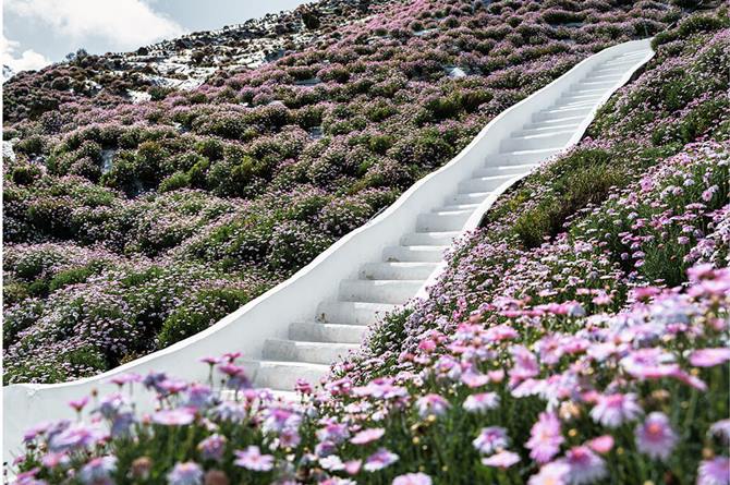 Tarikan Terbaharu Di 5 Tempat Menarik Di Cameron Highland