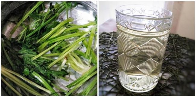 Kebaikan Daun Sup, Amal Rebusan Air Daun Sup Untuk Kesihatan
