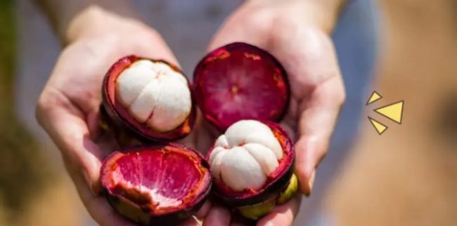 Buah Manggis Untuk Ibu Hamil, Baik Untuk Anda Dan Janin
