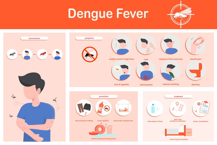A Cruel Awakening - How Dengue Changed Our Lives Forever