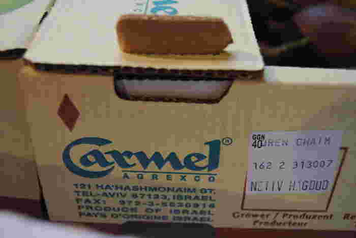 Senarai Kurma dari Israel Yang Kita Perlu Tahu & Elakkan Beli